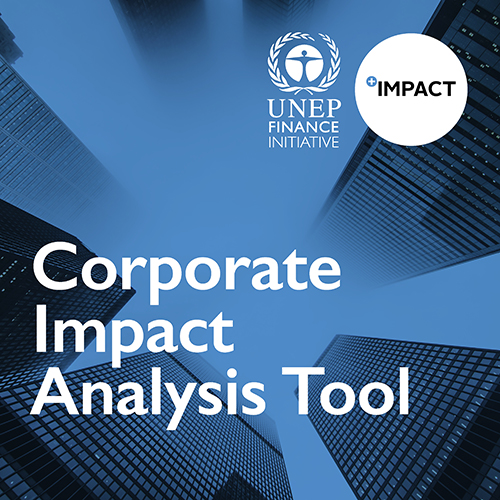Investment Portfolio Impact Analysis Tool United Nations